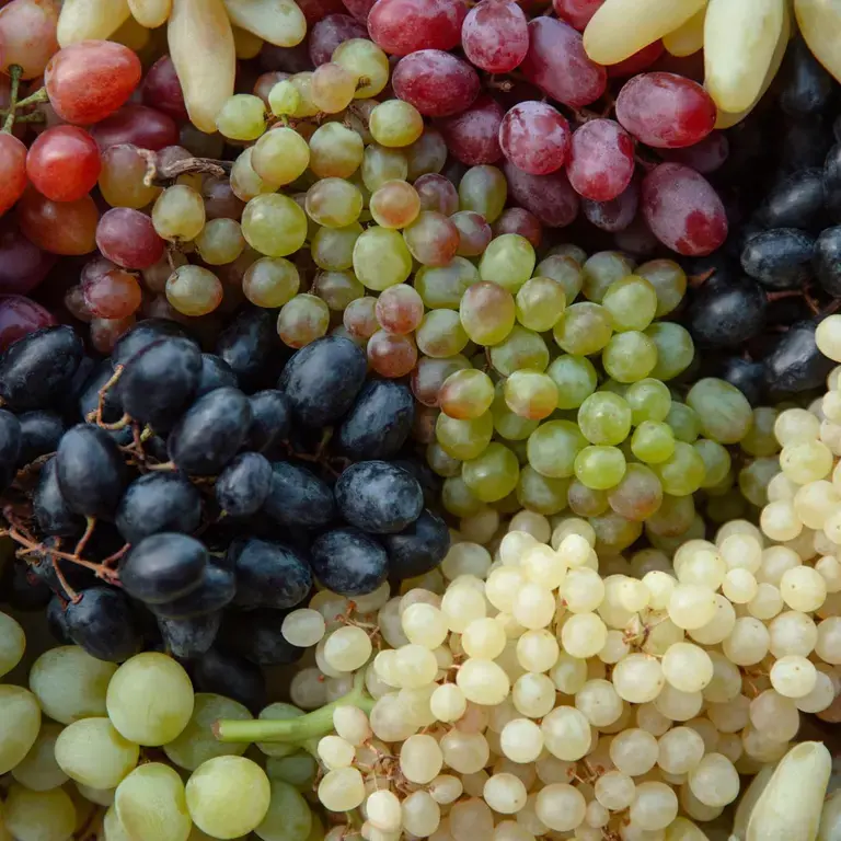 Different types of grapes store